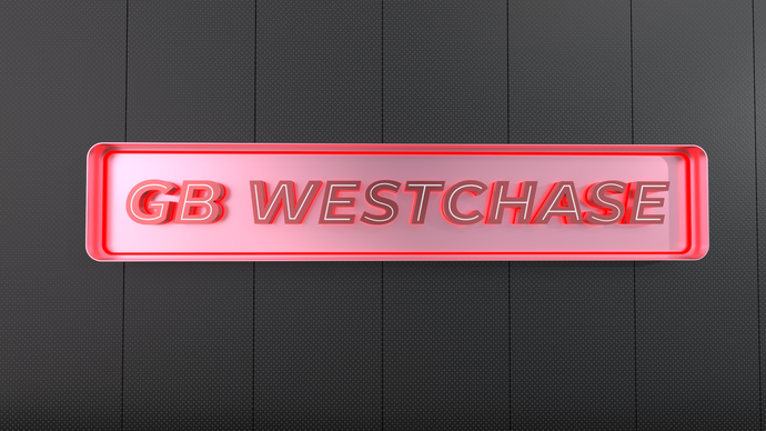 Branded Custom Signs for Gracie Barra Westchase | AFCultures Sign Solutions